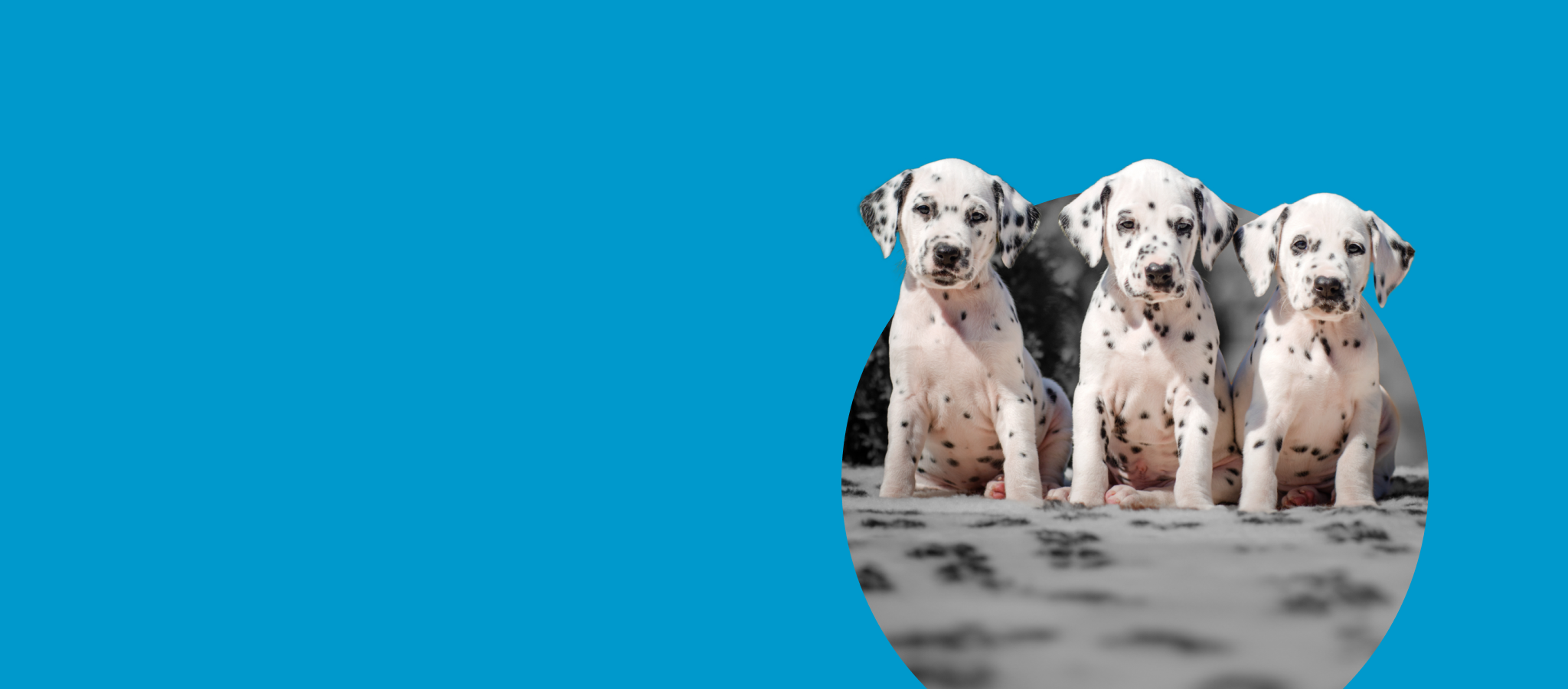 Optimal Selection™ — Smarter breeding through genetics.™