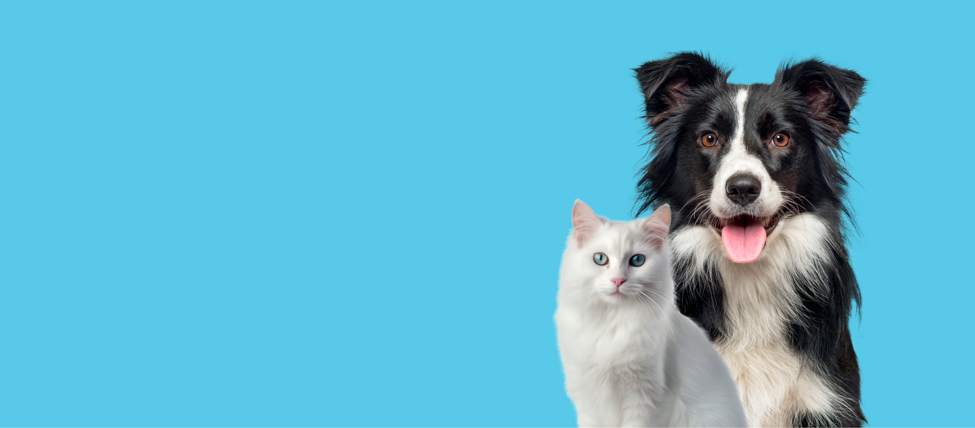 Optimal Selection™ — Smarter breeding through genetics.™