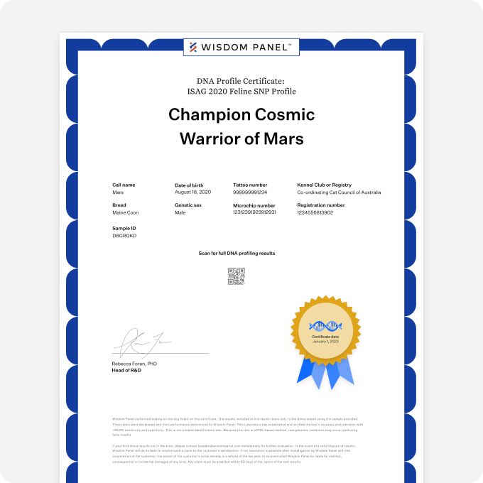 cat profile evaluation