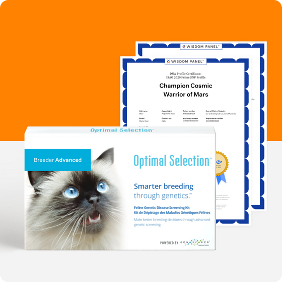 For your dog breed – Optimal Selection