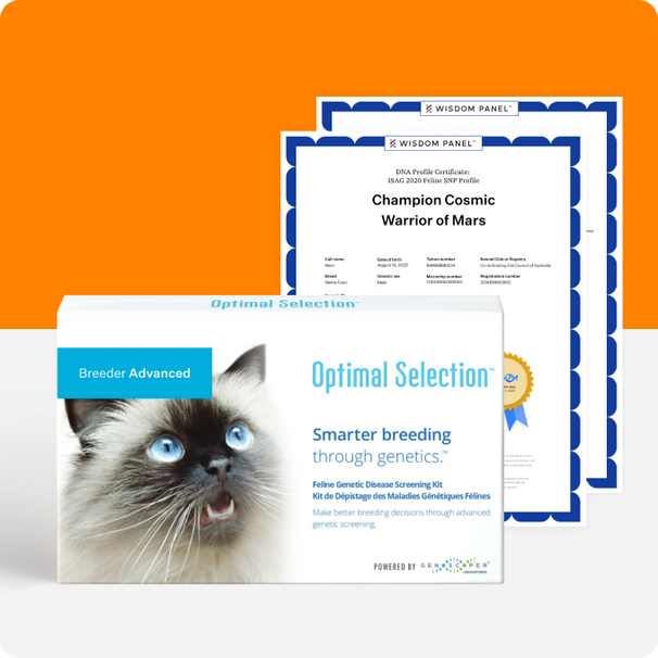 For your dog breed – Optimal Selection