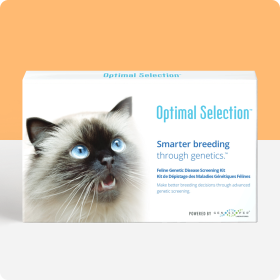 For your dog breed – Optimal Selection