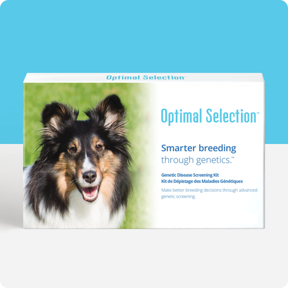 For your dog breed – Optimal Selection