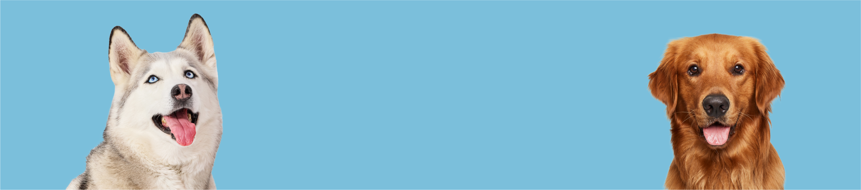 Contact Us – Optimal Selection