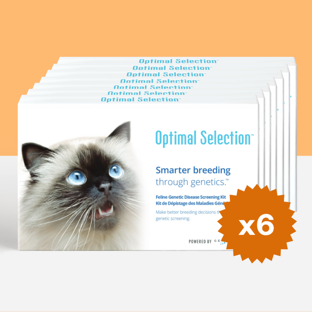 For your cat breed – Optimal Selection