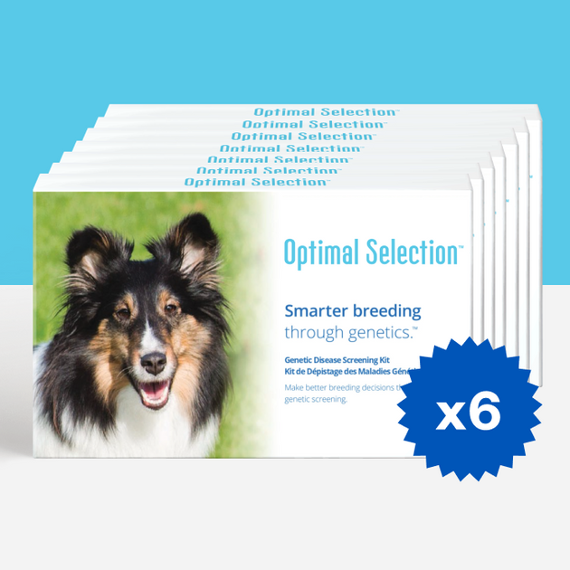 For your dog breed – Optimal Selection