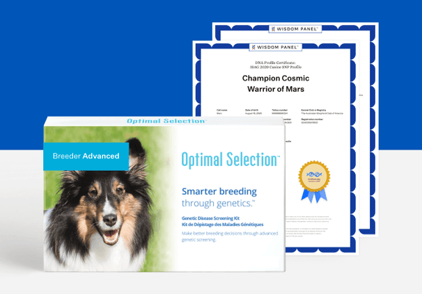 For your dog breed – Optimal Selection